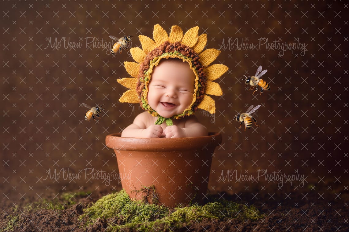 Digital Newborn Backdrop, Background, Infant Girl Sunflower Pot Bees - Etsy