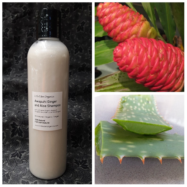 Organic Awapuhi Ginger and Aloe Shampoo - 8 Ounce - Silky Satin Awapuhi ...