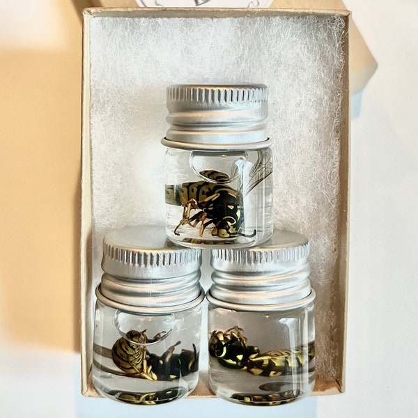 Wet Specimens - Etsy