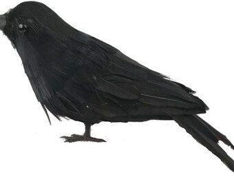 Realistic Raven Decor - Etsy