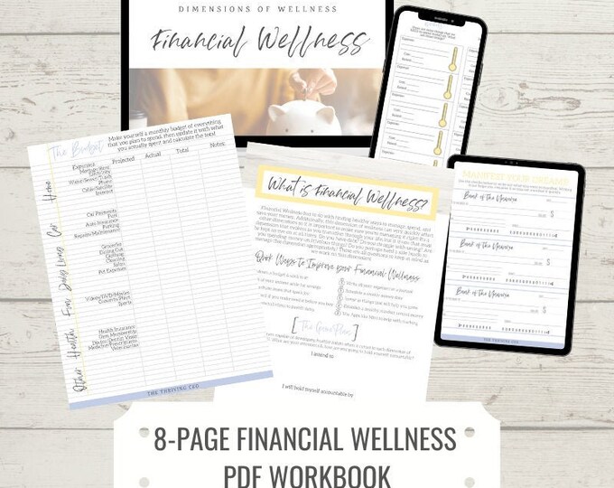 Financial Wellness Workbook - Etsy