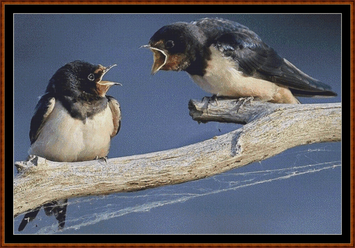 Angry Swallows Cross Stitch Pattern - Are These Birds Really Angry ...