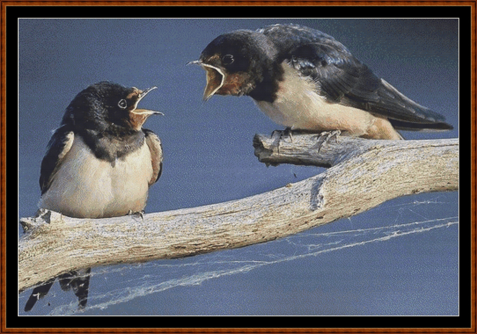 Angry Swallows Cross Stitch Pattern - Are These Birds Really Angry ...