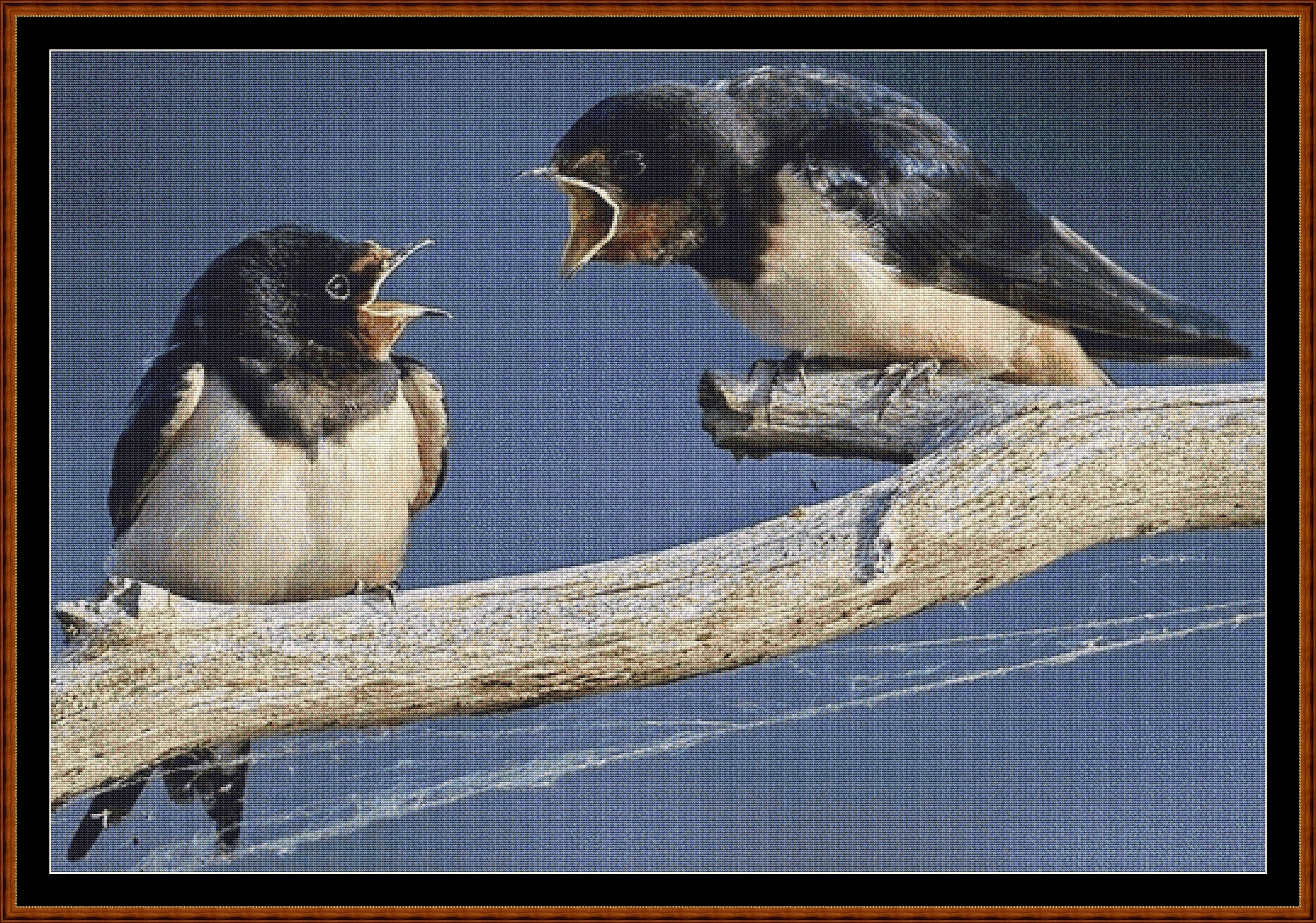 Angry Swallows Cross Stitch Pattern - Are These Birds Really Angry ...