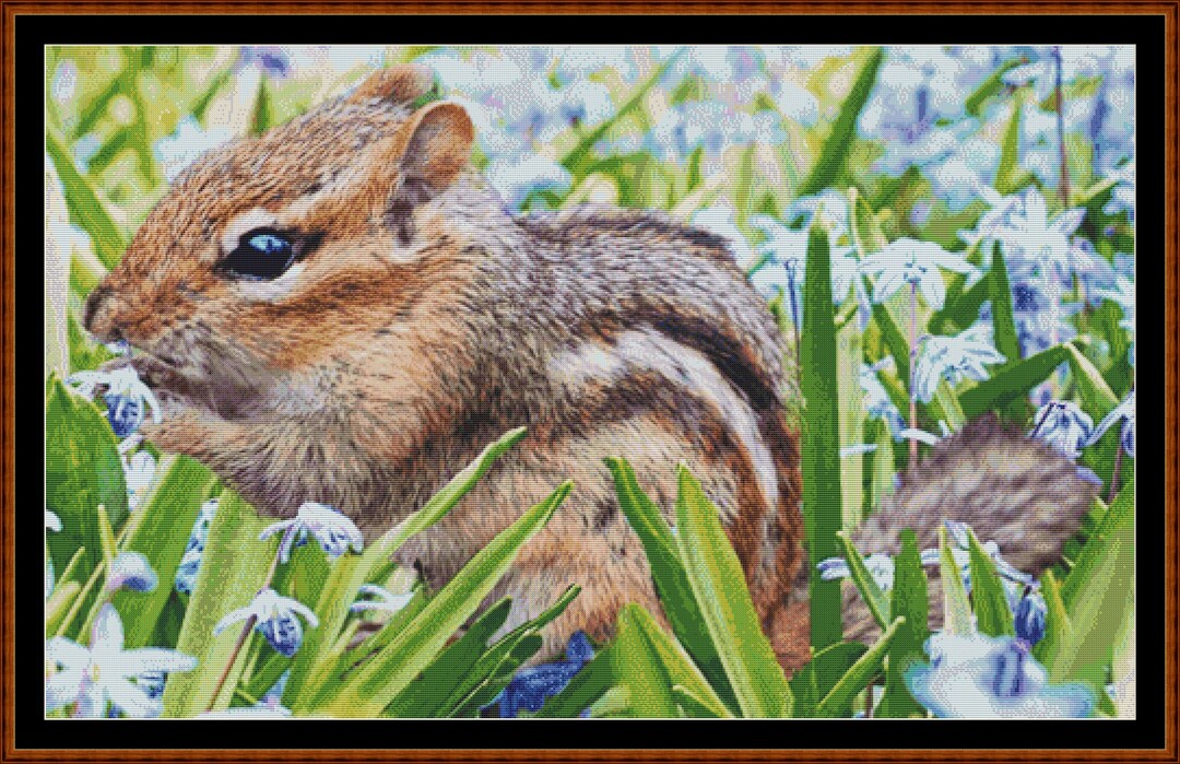 Chipmunk ~~ Cross Stitch Pattern - Etsy