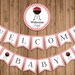 Rainbow Baby Shower Banner, PRINTABLE, Welcome Baby, Blush Rainbow ...