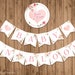 Baby in Bloom Banner, PRINTABLE, DIY, Pink Roses, Blush Roses, Roses ...