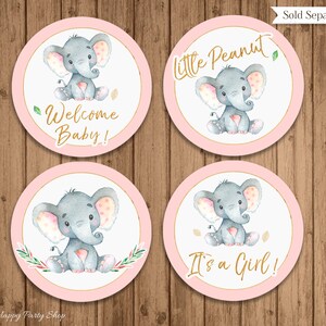 Elephant Theme Happy Birthday Party Banner, PRINTABLE, Pink, Girl ...