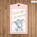Elephant Theme Happy Birthday Party Banner, PRINTABLE, Pink, Girl ...