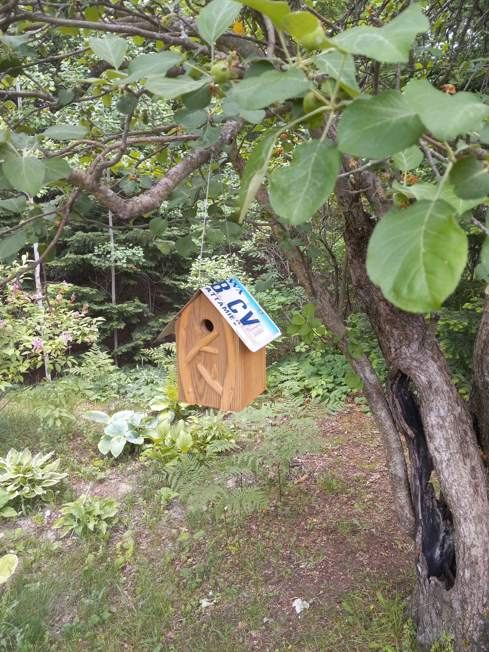Iowa License Plate Roof on a Rustic Birdhouse With Artistic - Etsy