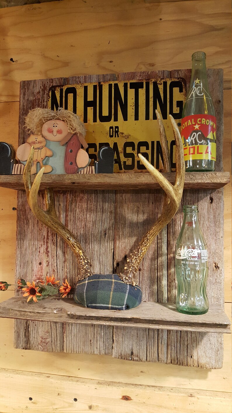 Whitetail Deer Antler Shelf on Barn Wood With No Hunting or - Etsy