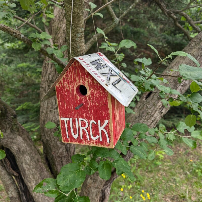 Bluebird Plate - Etsy