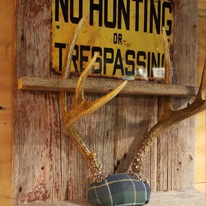 Whitetail Deer Antler Shelf on Barn Wood With No Hunting or - Etsy
