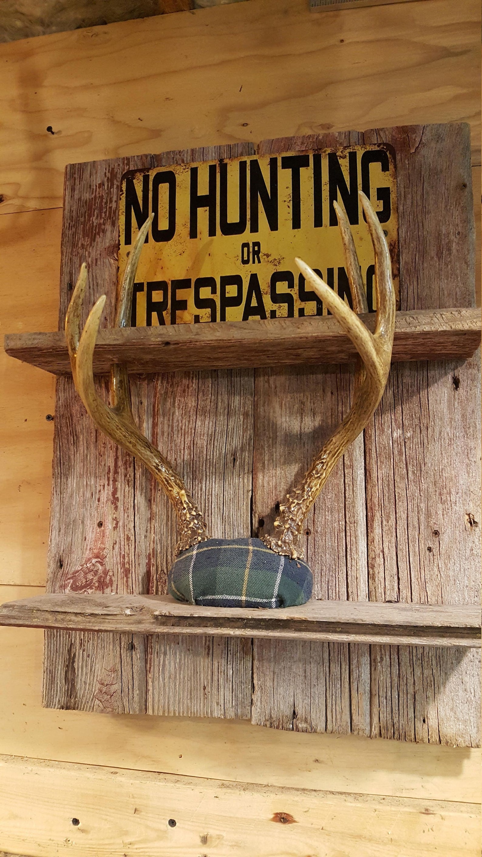 Whitetail Deer Antler Shelf on Barn Wood With No Hunting or - Etsy
