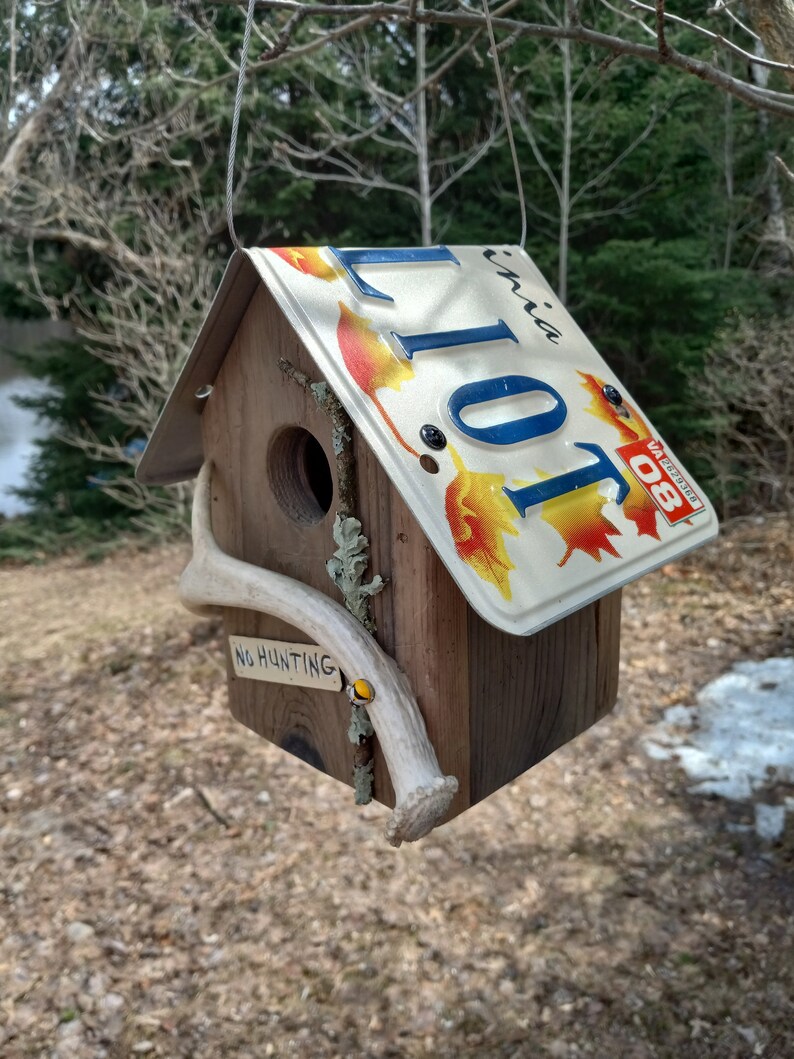 Virginia Vanity License Plate Roof "p Elliot" on Bluebird House With ...
