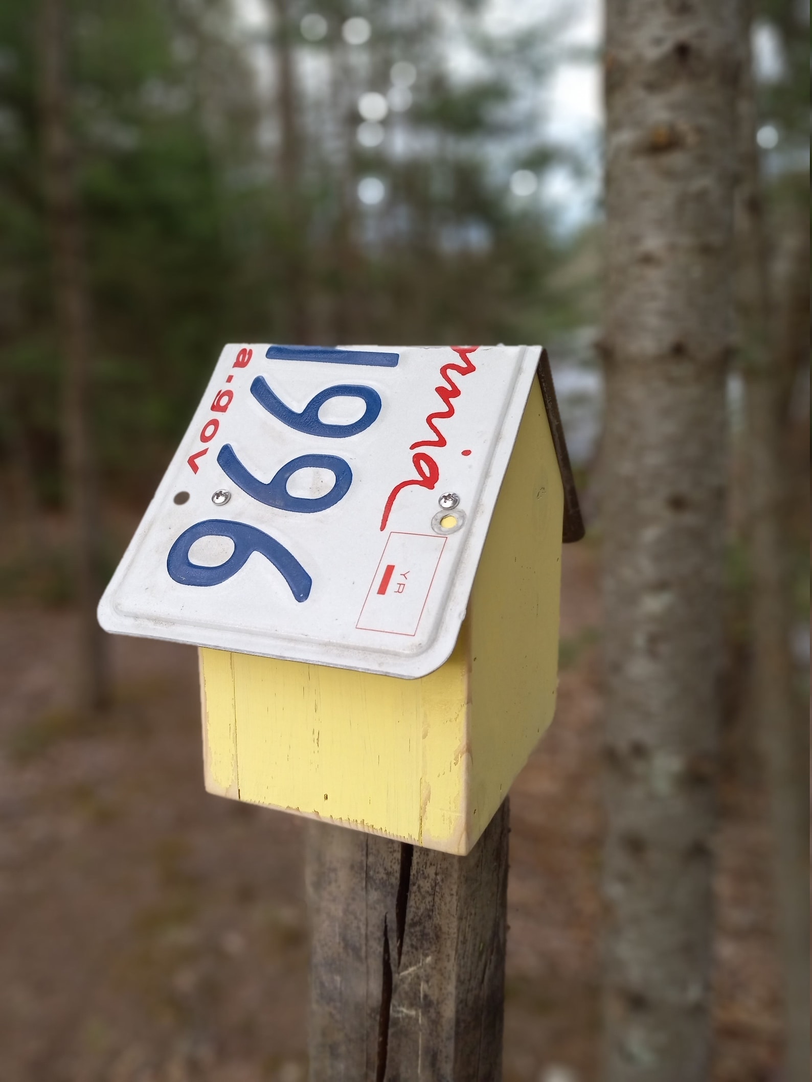 California License Plate Roof on Birdhouse With Wine and Music - Etsy