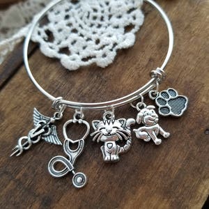 Vet Tech Jewelry, Gift for Vet Tech, Vet Tech Charm Bracelet ...