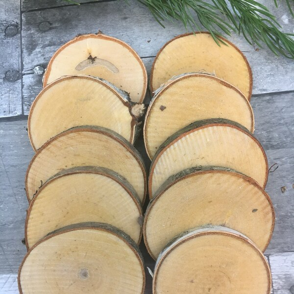 Birch Tree Slice - Etsy