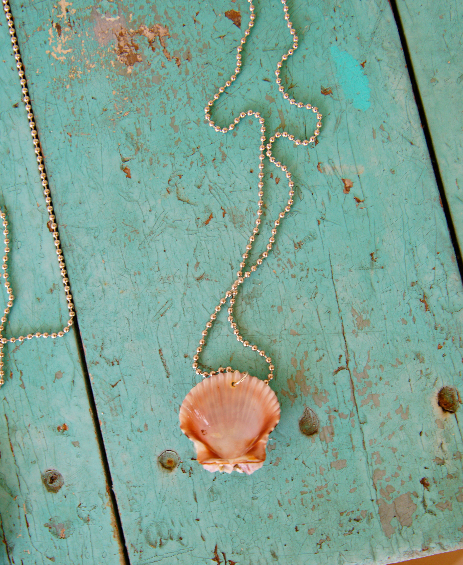 Scallop Shell With Barnacles Necklace Seashell Beach Fashion | Etsy