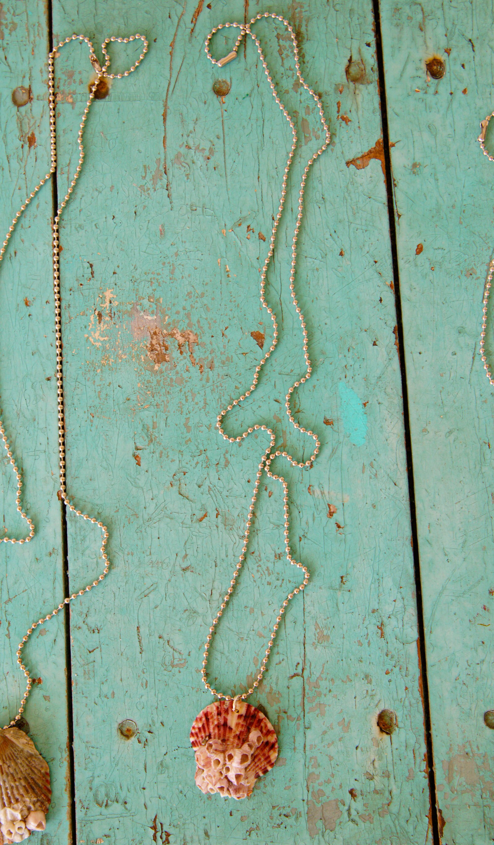 Scallop Shell With Barnacles Necklace Seashell Beach Fashion | Etsy