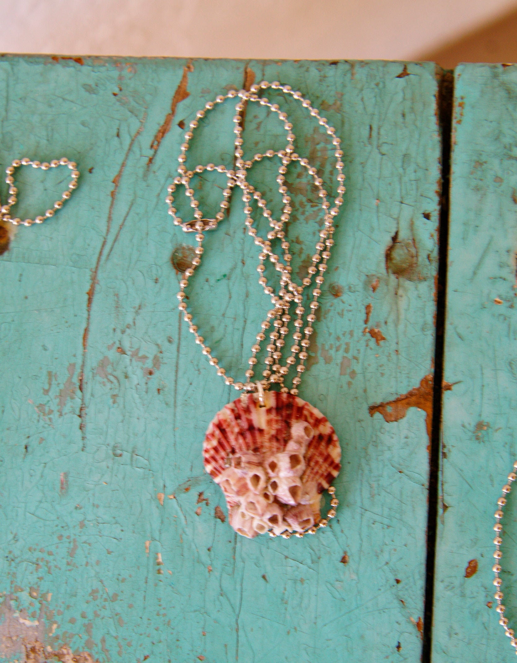 Scallop Shell With Barnacles Necklace Seashell Beach Fashion | Etsy