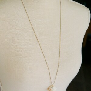 Butterfly Coquina Shell Jewel Box Shell Locket Necklace ~ Butterfly ...