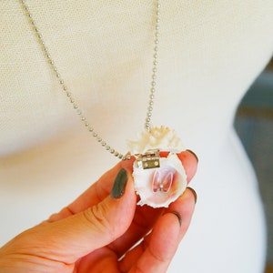 Butterfly Coquina Shell Jewel Box Shell Locket Necklace Inspirational ...