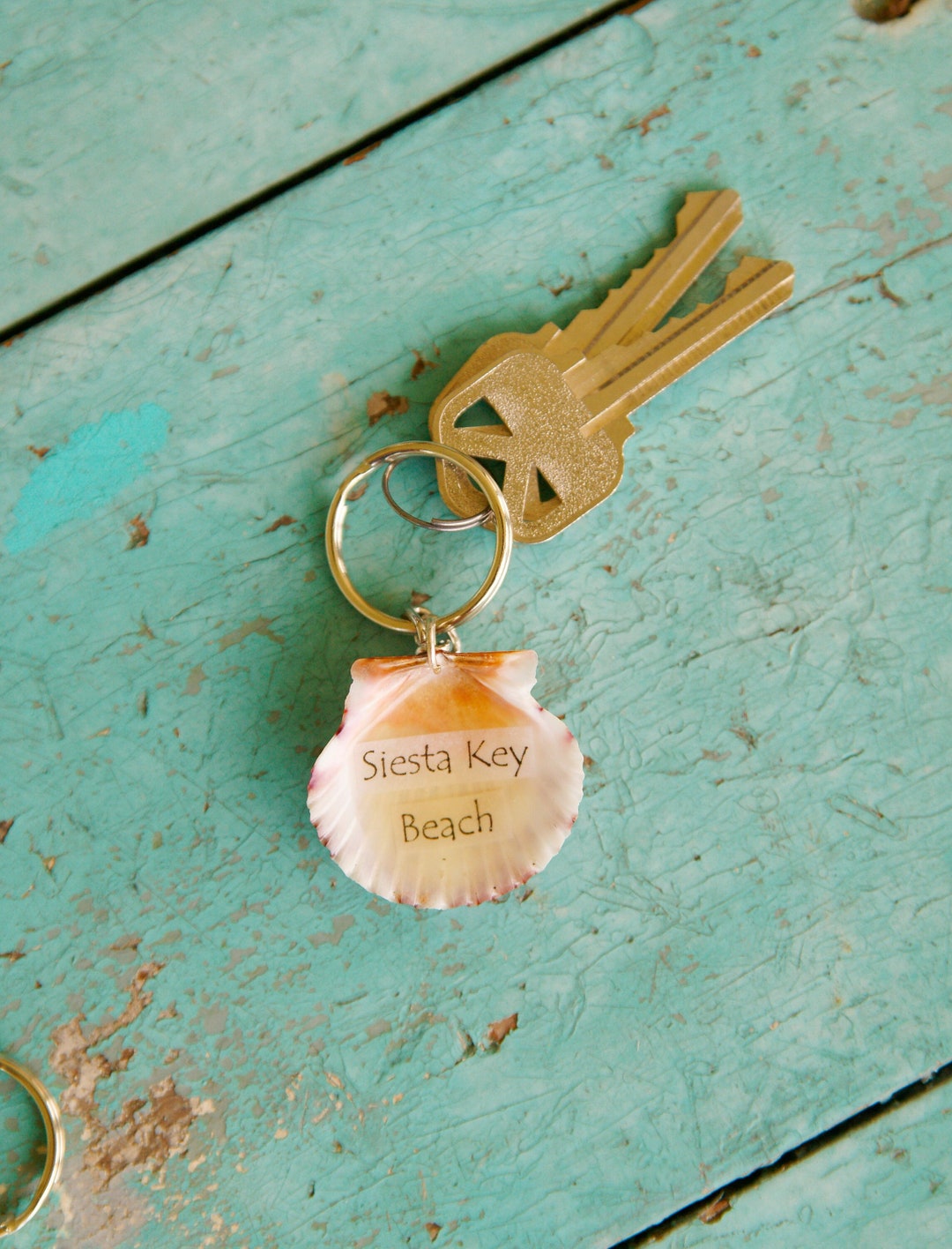 Siesta Key Beach Scallop Shell Keychain Seashell Beach Fashion Ocean ...