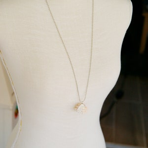 Butterfly Coquina Shell Jewel Box Shell Locket Necklace Inspirational ...