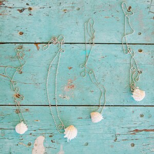 Butterfly Coquina Shell Jewel Box Shell Locket Necklace Inspirational ...