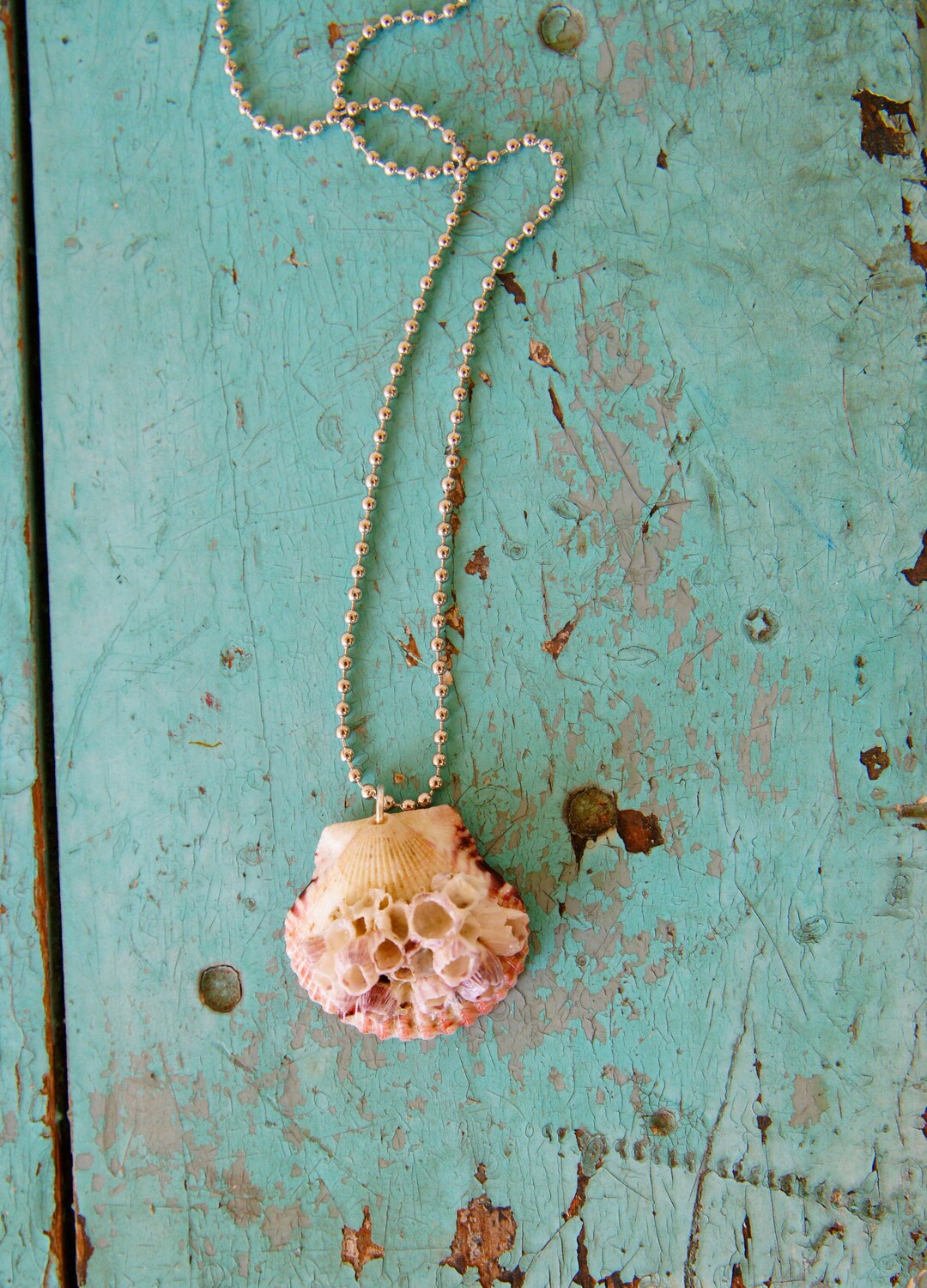 Scallop Shell With Barnacles Necklace Seashell Beach Fashion - Etsy