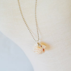 Butterfly Coquina Shell Jewel Box Shell Locket Necklace Inspirational ...