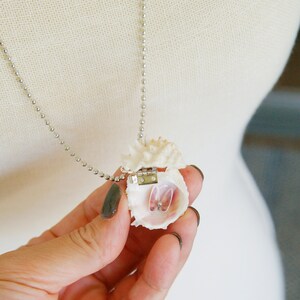 Butterfly Coquina Shell Jewel Box Shell Locket Necklace Inspirational ...