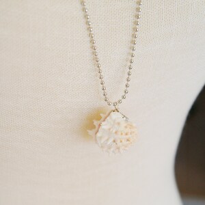 Butterfly Coquina Shell Jewel Box Shell Locket Necklace Inspirational ...