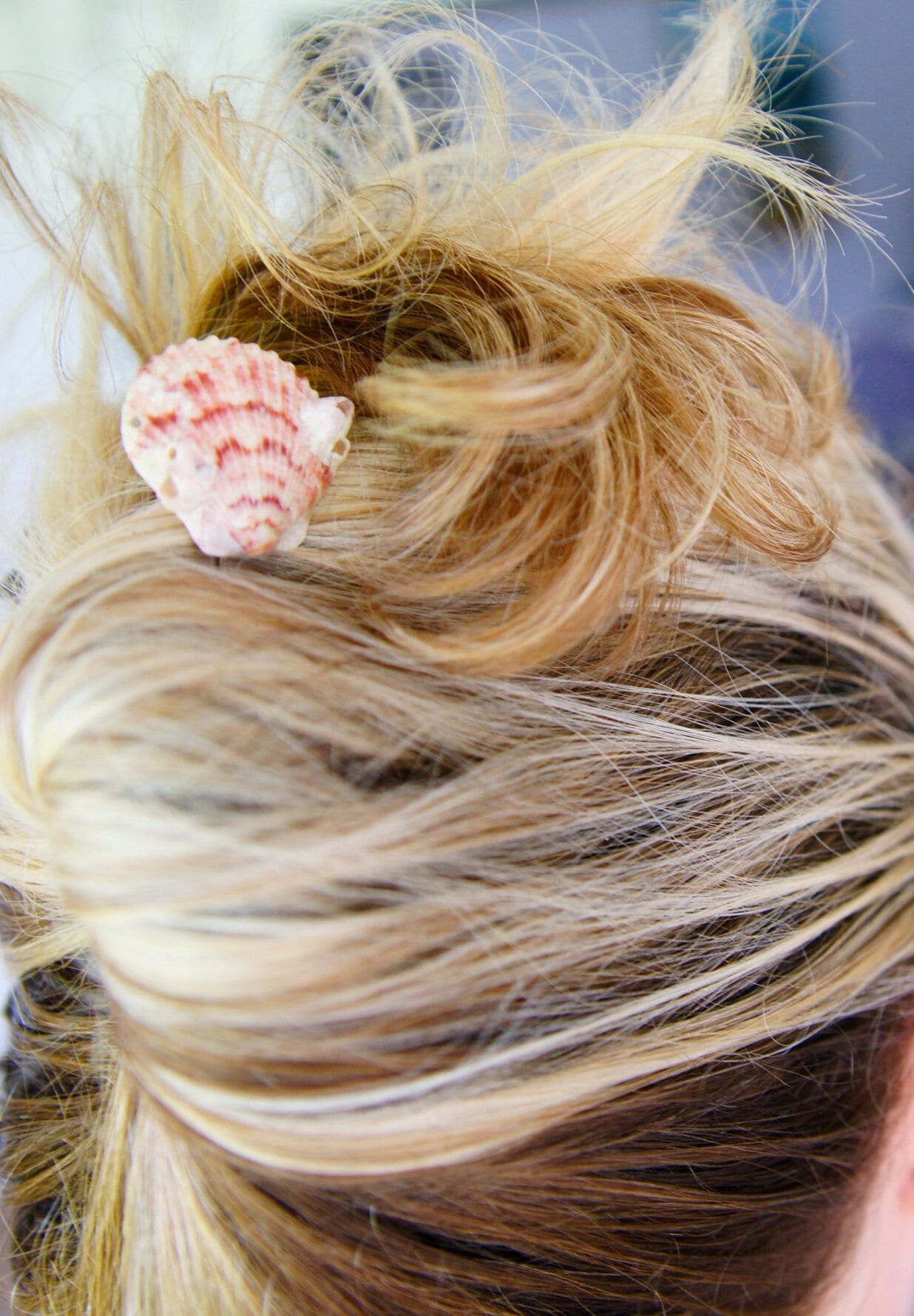 Seashell Braid Bun