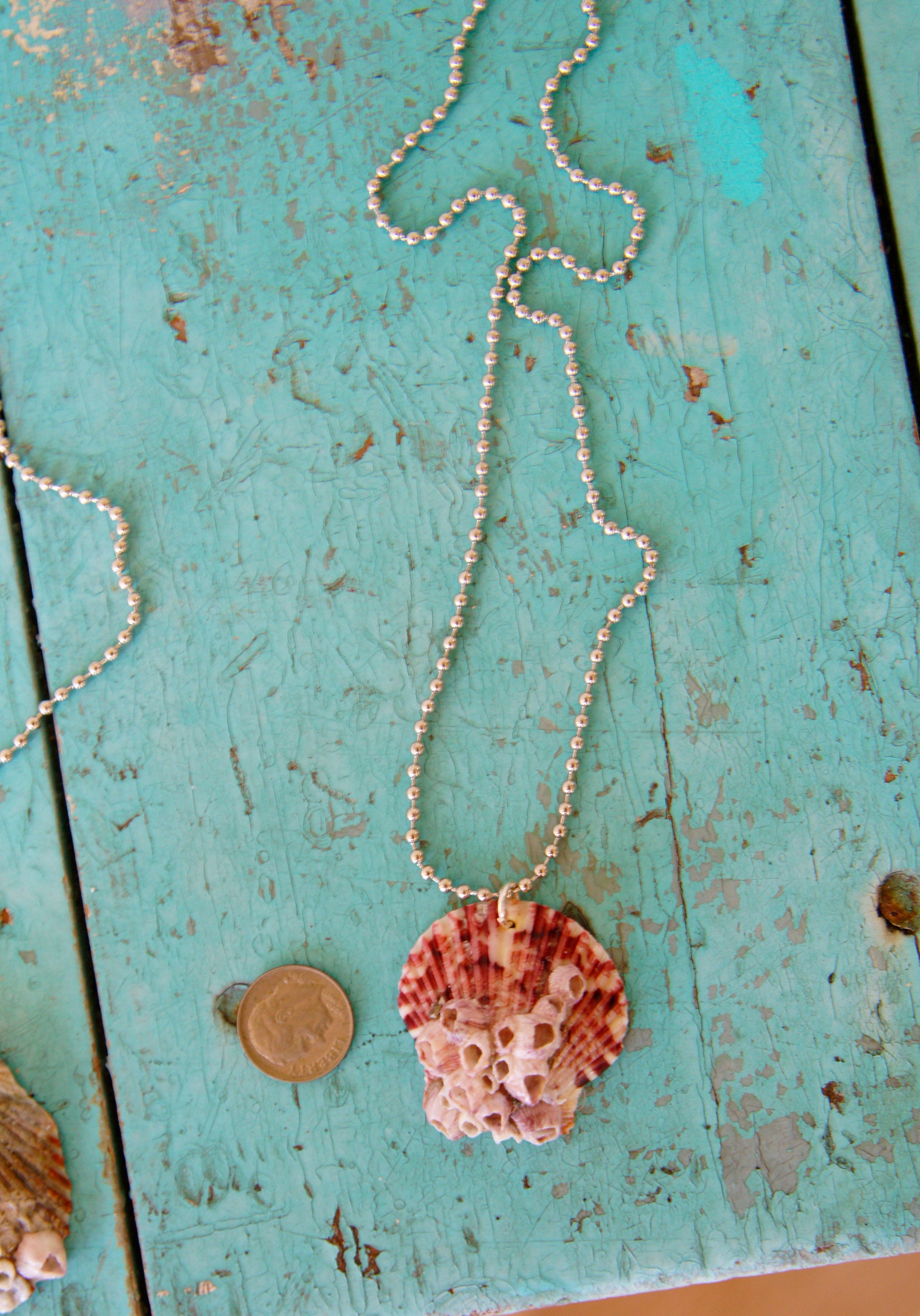 Scallop Shell With Barnacles Necklace Seashell Beach Fashion | Etsy