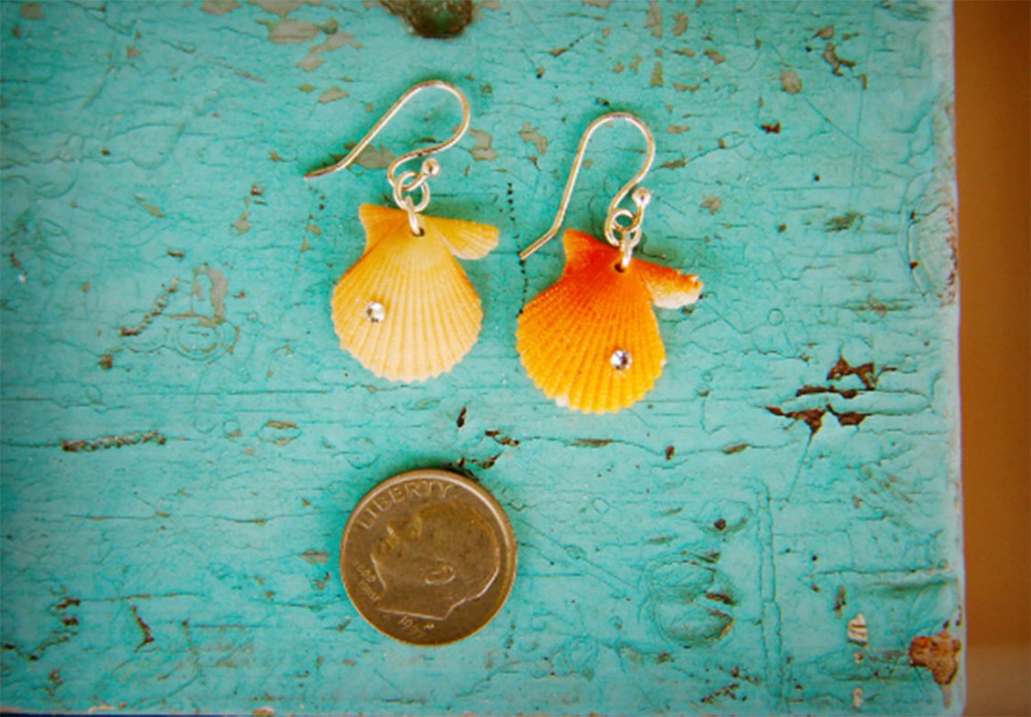 Silver Orange Rough Scallop Shell Earrings With Swarovski - Etsy
