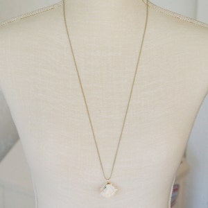 Butterfly Coquina Shell Jewel Box Shell Locket Necklace ~ Butterfly ...