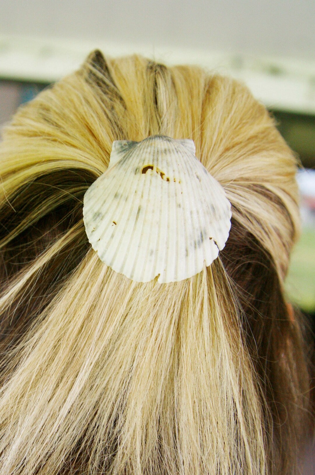 Scallop Shell Hair Barrette Hair Accessory French Clip Beach Jewelry ...