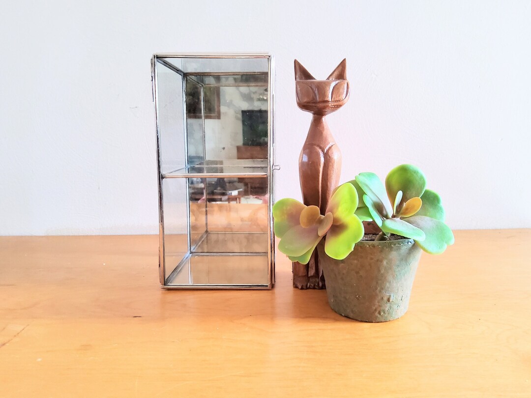Small Glass Curio Cabinet, Tabletop, Silver Curio Cabinet, Display Case ...