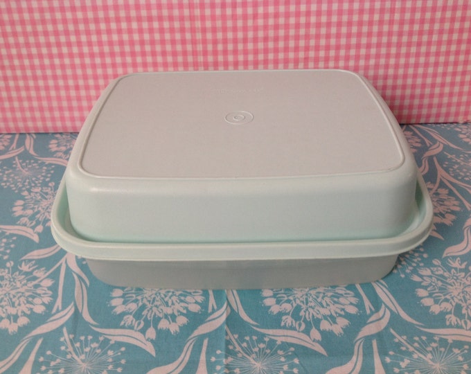 Vintage Tupperware Season and Serve Tenderized, Meat Marinade ...