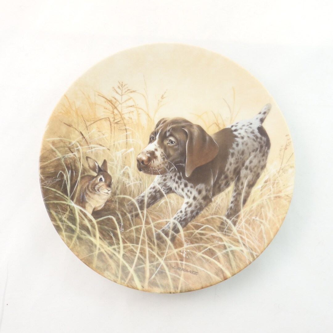 Vintage German Shorthaired Pointer Plate, Dog Plate, Puppy Plate, Lynn ...