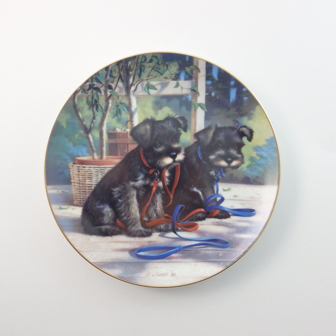 Vintage Black Dog Plate Schnauzer Plate Puppy Plate Jim - Etsy