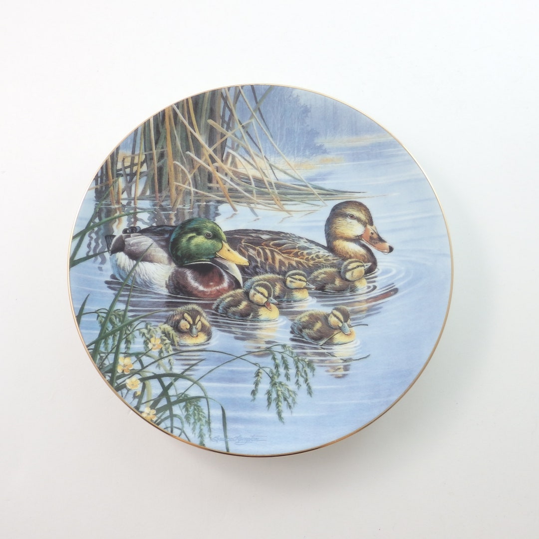 Vintage Duck Plate, Family Outing Duck Family Mama Duck Duckling Plate ...