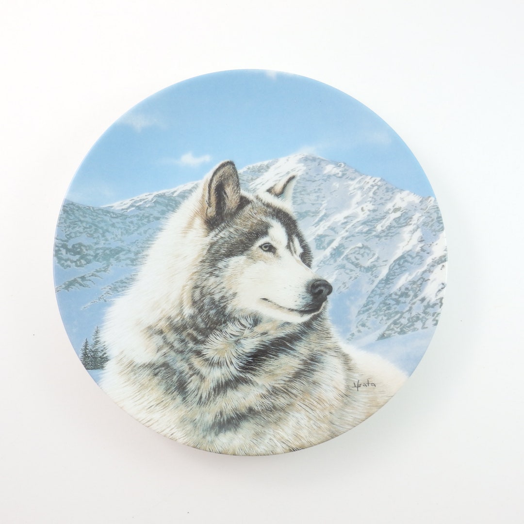 Vintage Wolf Plate, Thomas Hirata Art Plate, Arctic Wolf Solitary Watch ...