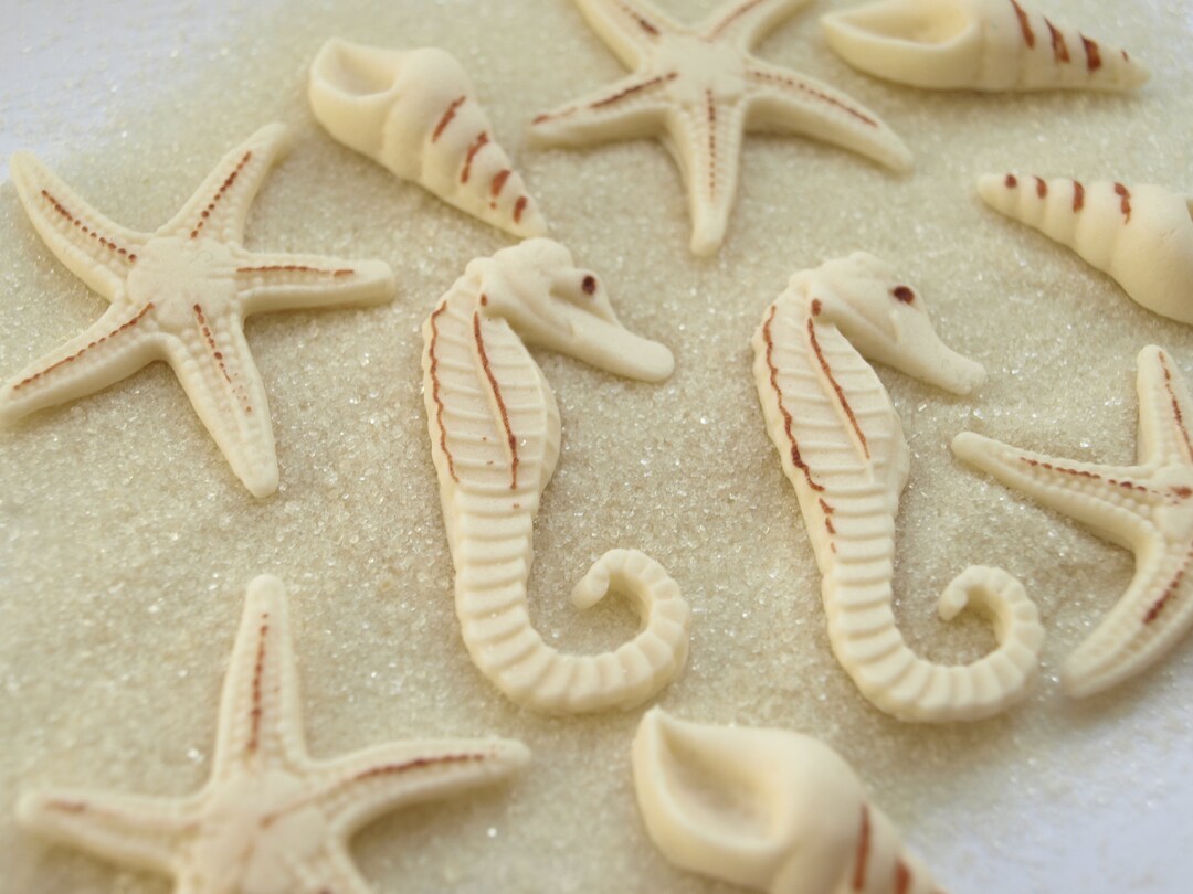 24 Edible Seashell Cupcake Toppers, Under the Sea Party Decorations - Etsy