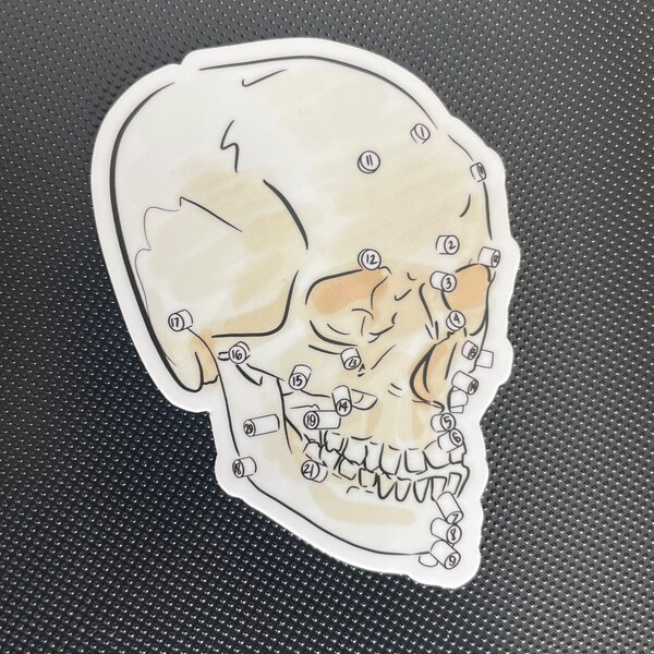 Facial Reconstruction - Etsy