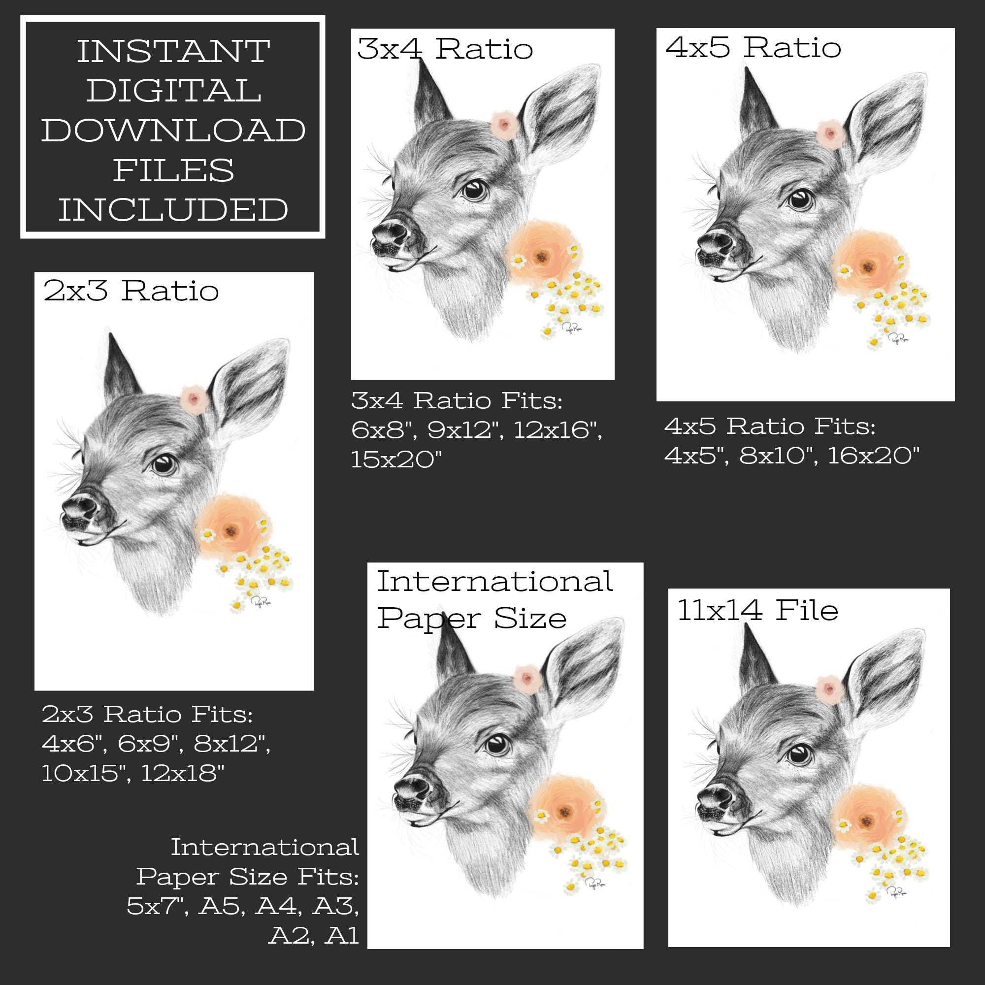 DIGITAL DRAWING BEAR Wilson Bear Portrait Minimalist Monochrome ...