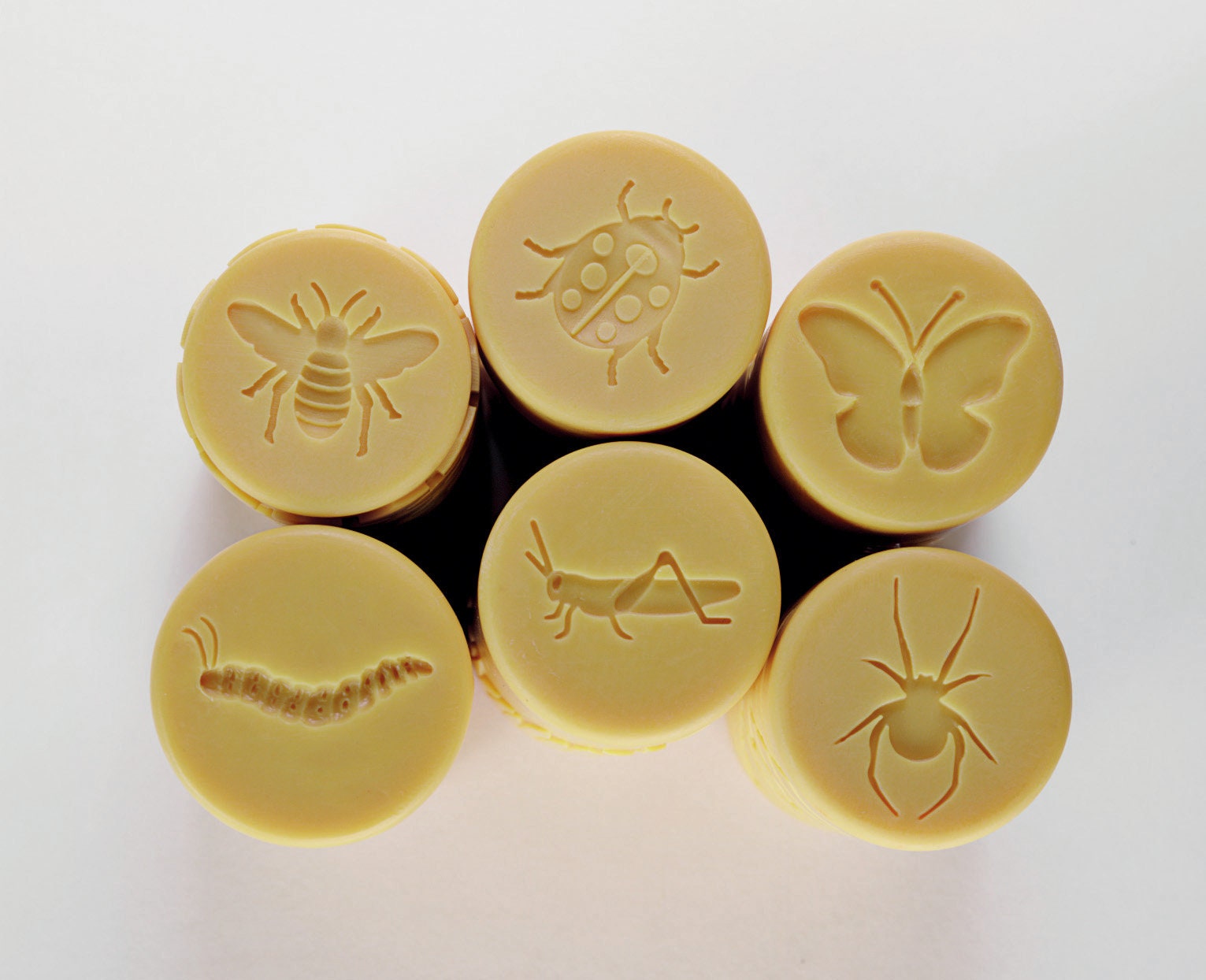 Let's Roll - Garden Bugs - Etsy