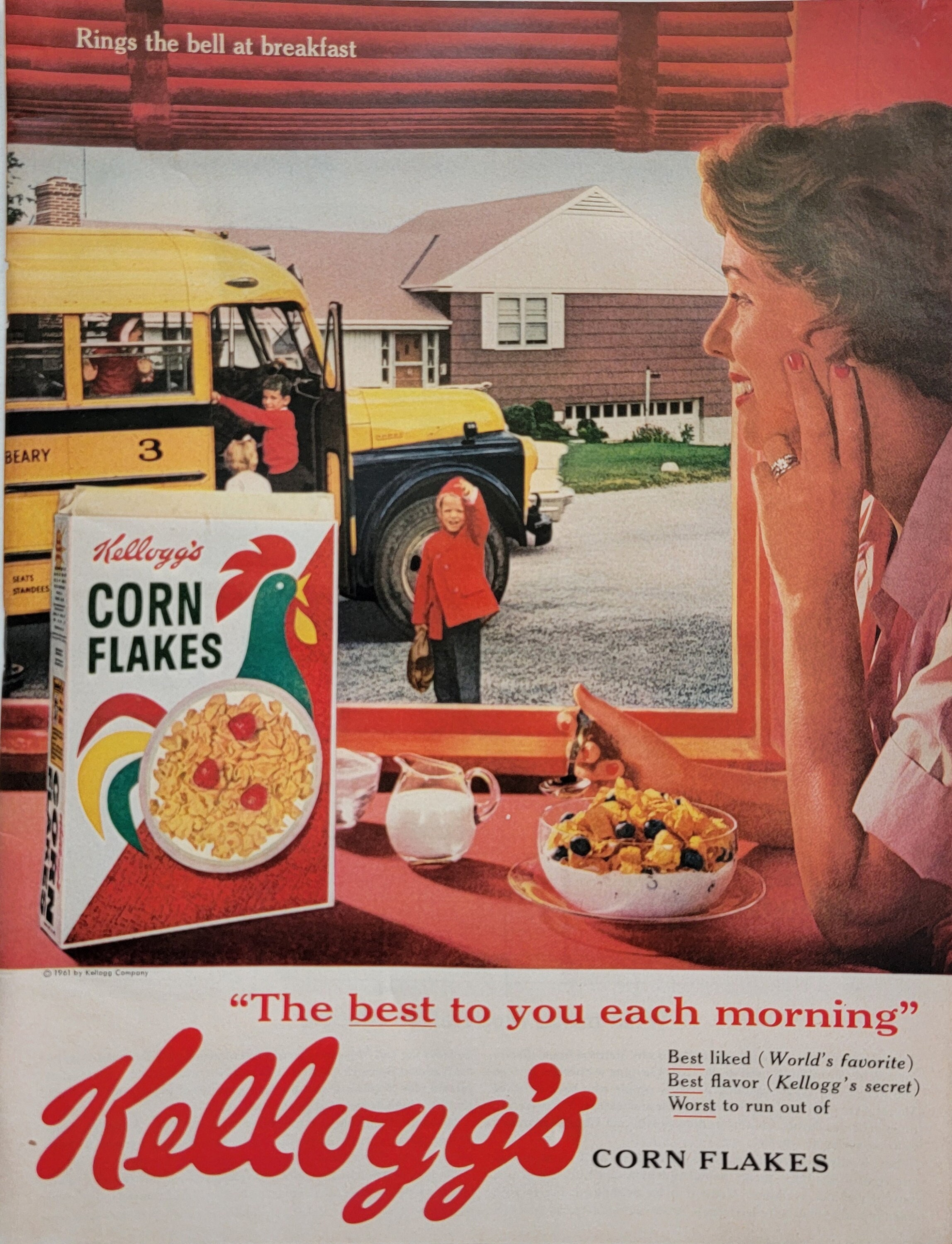 Kelloggs Corn Flakes Flavours